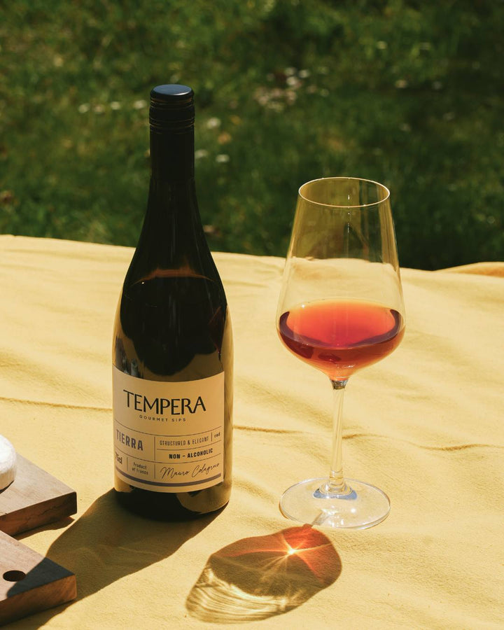 TEMPERA, nos boissons sans alcool à déguster – Tempera